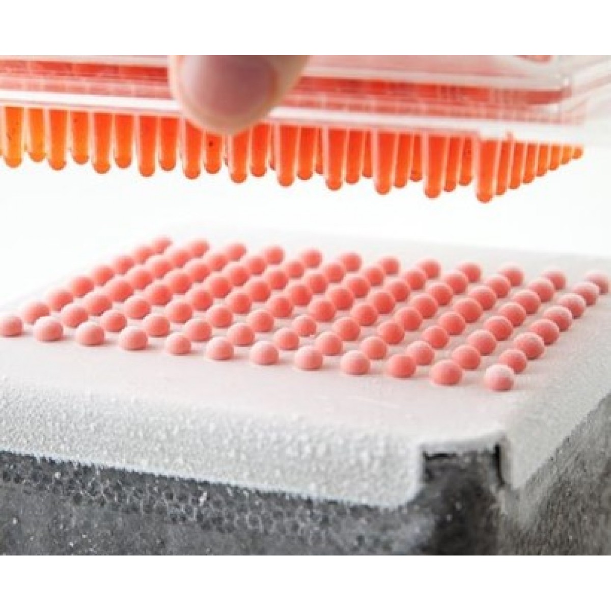 Caviar Box 100%Chef pour 96 perles d'alginate en 1 fois